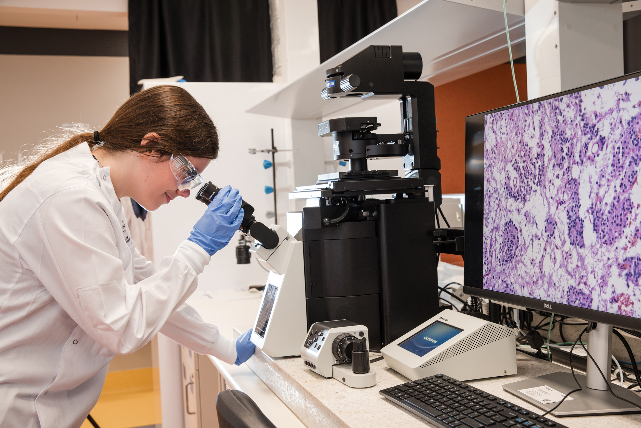 Accelerating blood cell and gene therapy research - School of Chemical ...